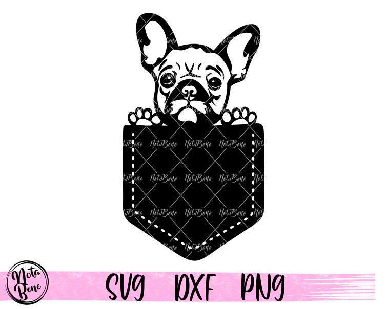 Paper, Party & Kids French Bulldog Dog Breed Peeking Peek-A-Boo ...