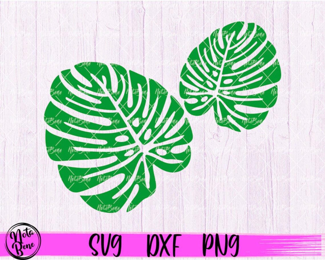 Monstera Plant Leaves Svg Cut File Monstera Svg Green Monstera - Etsy