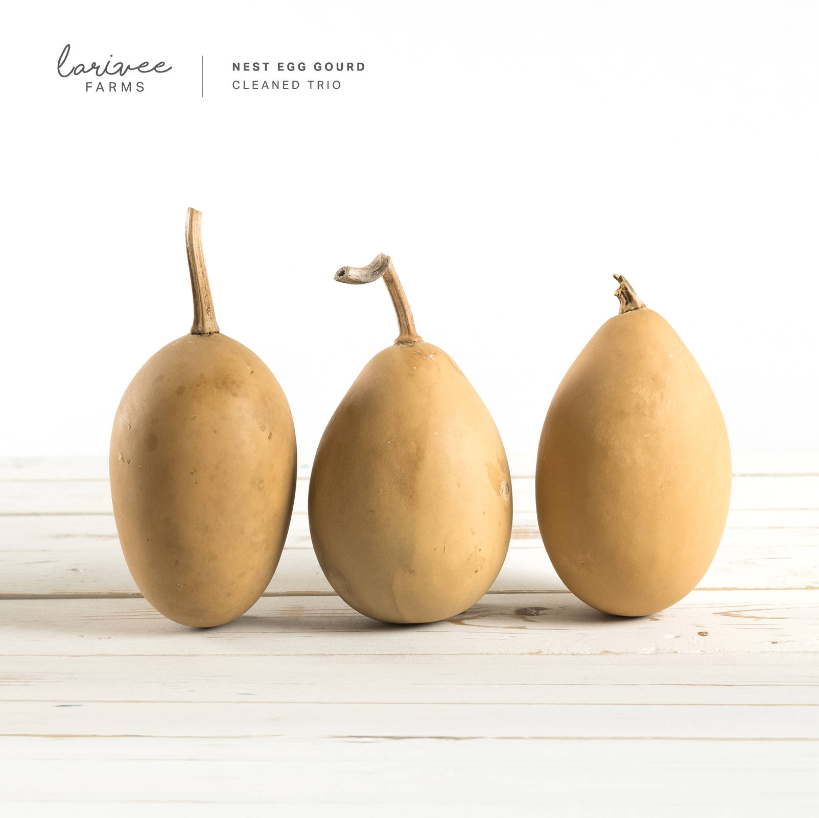Egg Shaped Dried Gourd Trio - Etsy