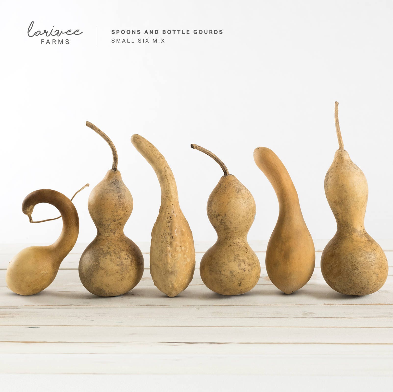 Dried Gourds Spoons and Bottle Shapes | Etsy