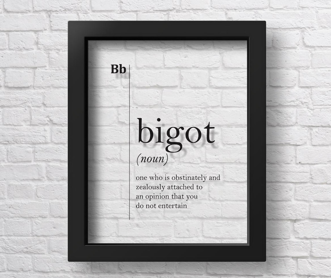 TRANSPARENT Bigot Definition Print Funny Posters Dorm Wall Decor ...