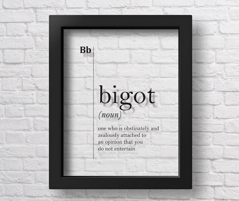 TRANSPARENT Bigot Definition Print Funny Posters Dorm Wall Decor ...
