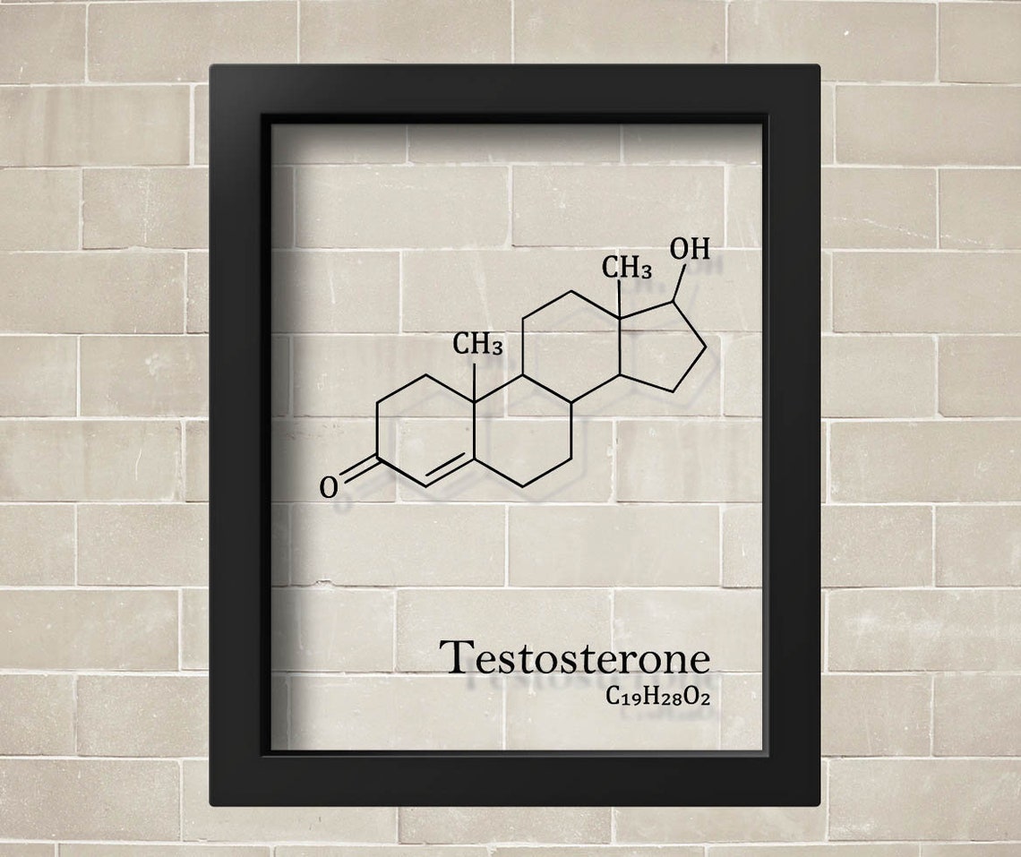 Transparent Testosterone Molecule Bodybuilder Gift Poster Bodybuilding ...