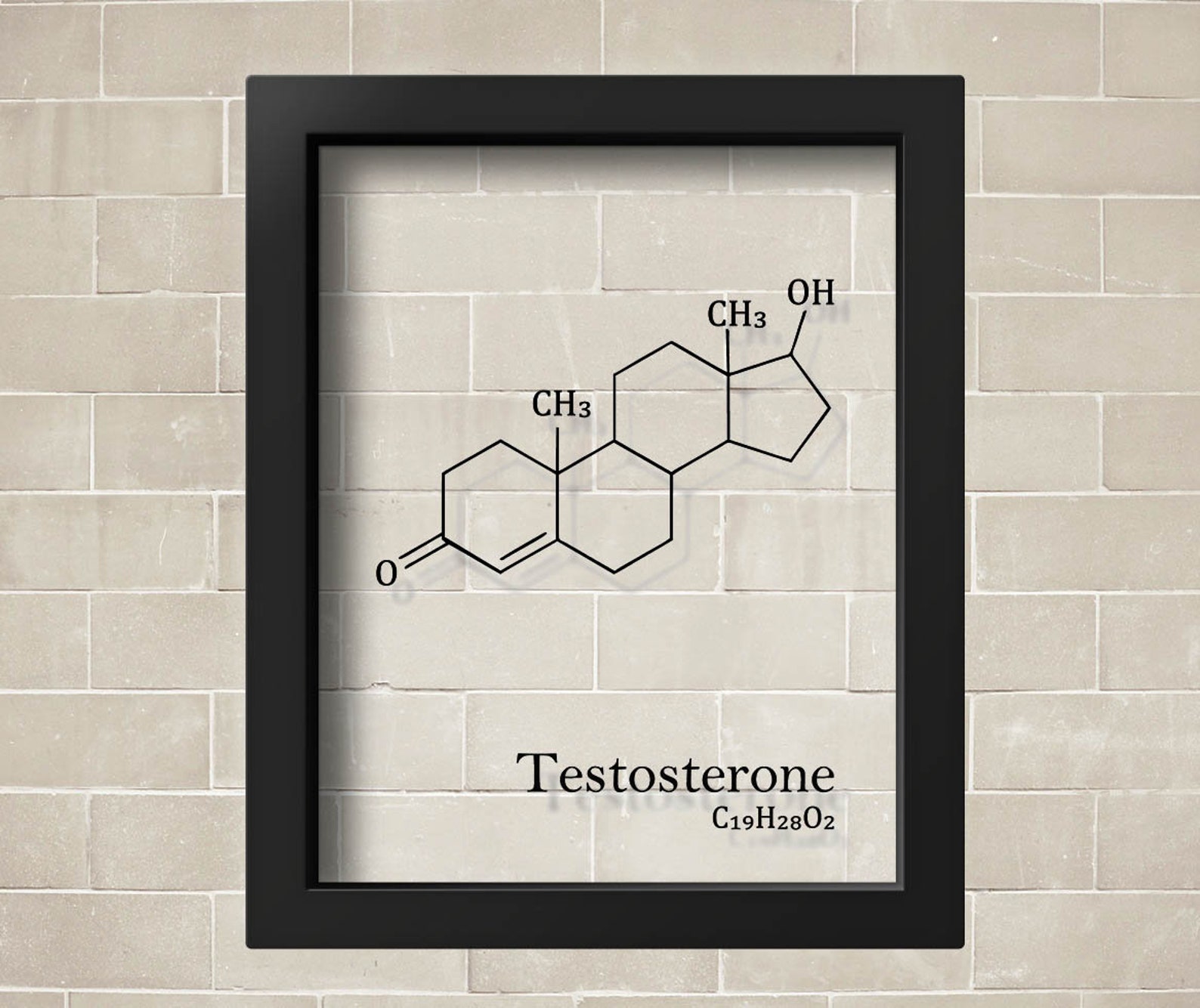 TRANSPARENT Testosterone Molecule Bodybuilder Gift Poster Bodybuilding ...