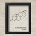 TRANSPARENT Testosterone Molecule Bodybuilder Gift Poster Bodybuilding ...