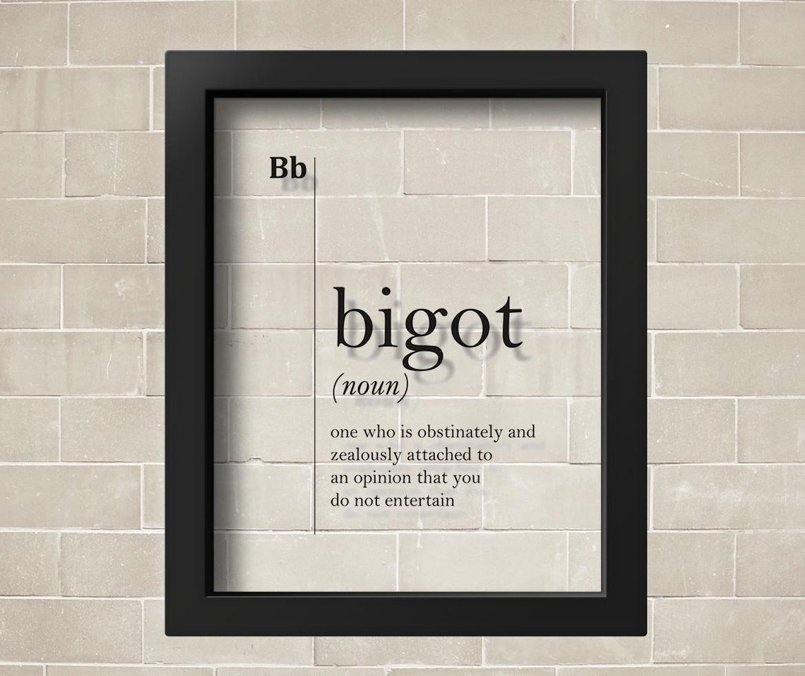 TRANSPARENT Bigot Definition Print Funny Posters Dorm Wall - Etsy