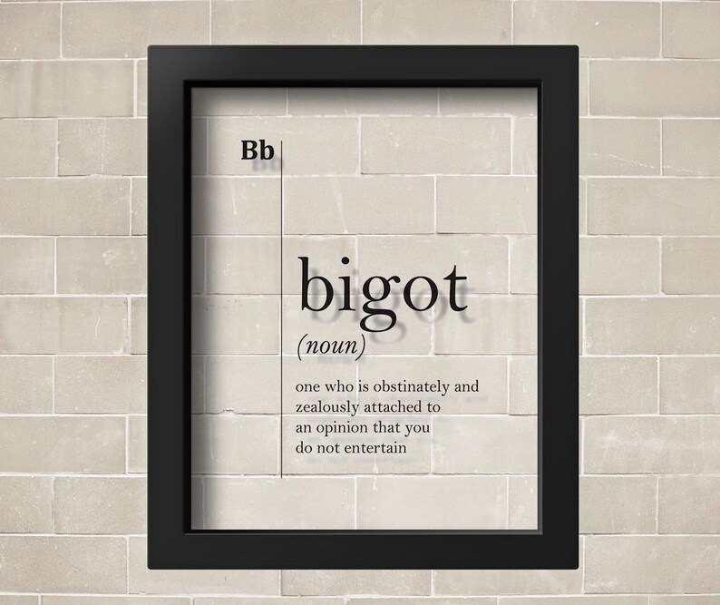 TRANSPARENT Bigot Definition Print Funny Posters Dorm Wall Decor ...