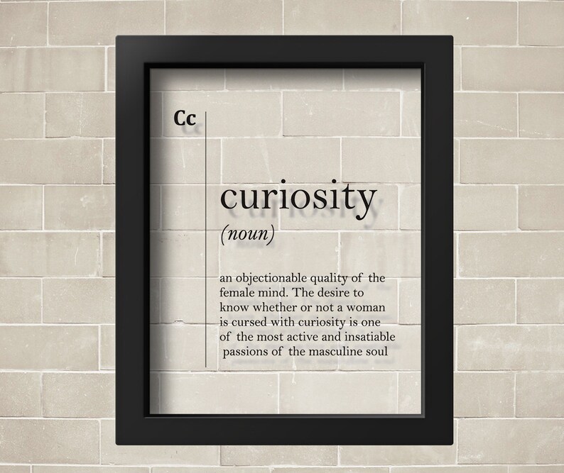 TRANSPARENT Curiosity Funny Definition Print Typography Poster Friend ...