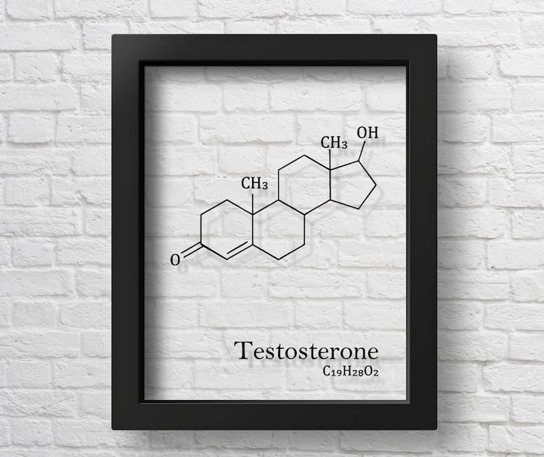 TRANSPARENT Testosterone Molecule Bodybuilder Gift Poster Bodybuilding ...