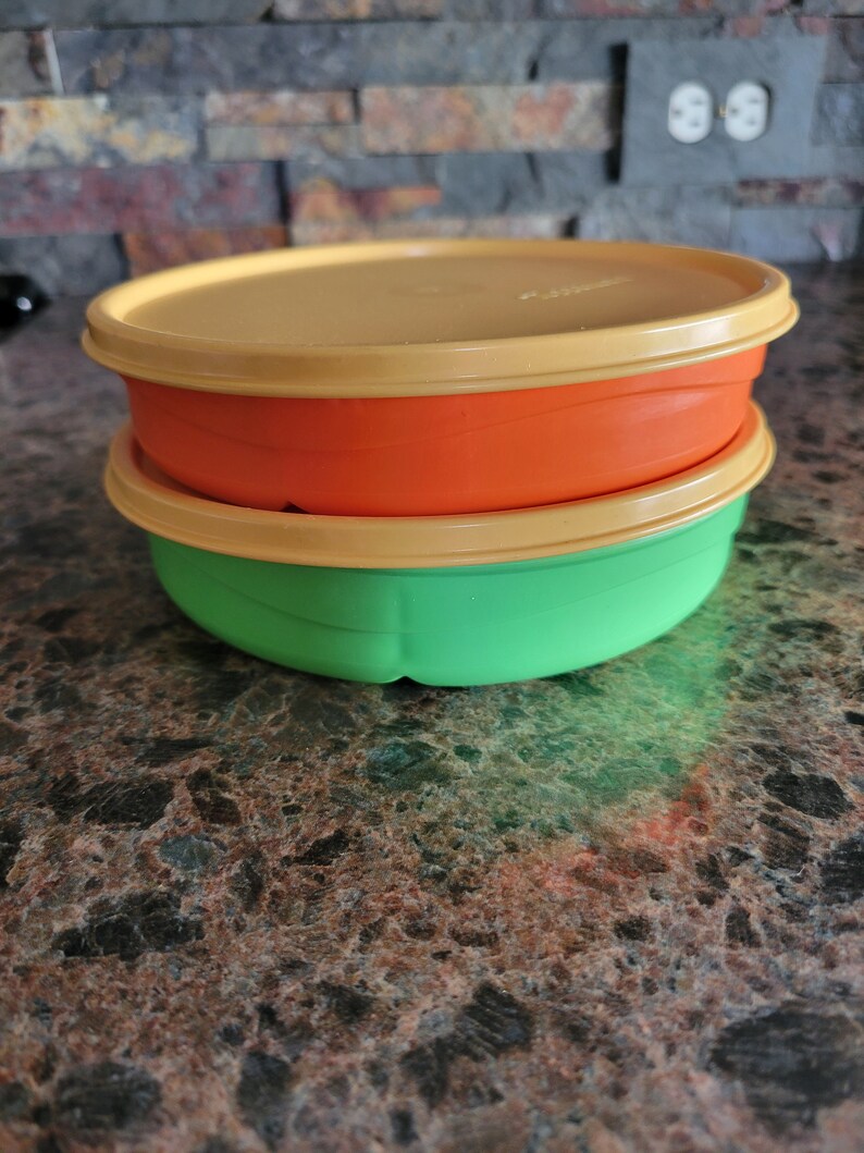 Tupperware Divided Plate/bowl With Lid Set of 2 - Etsy