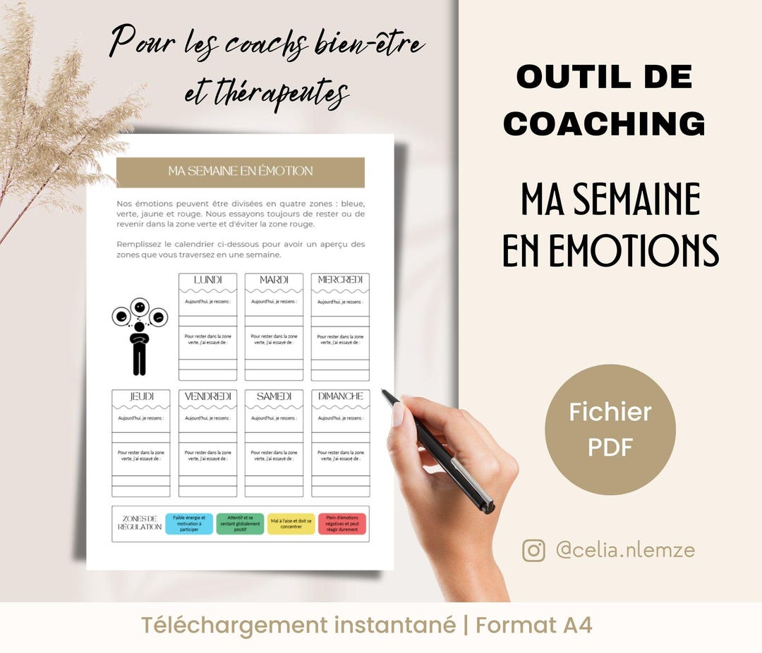 French Coaching Tool, Emotion Management, French Coaching Worksheet ...