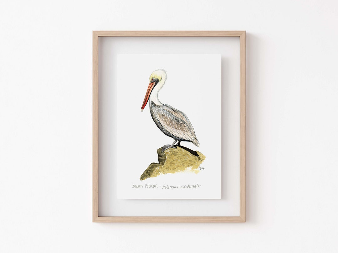 Brown Pelican PRINT, Beach Decor, Sea Art, Ocean Art, Beach House Decor ...
