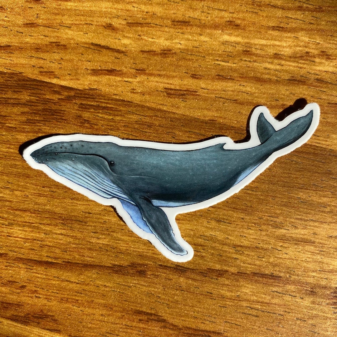 Adorable Humpback Whale Sticker - Cute Ocean Decal - Etsy