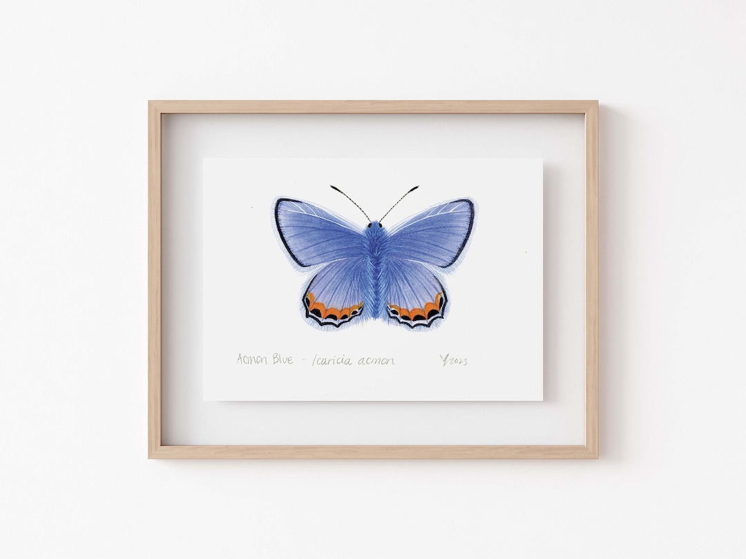 Acmon Blue Butterfly Print - Enchanting Fairy Cottage Decor ...