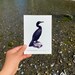 Cormorant Art Print - Watercolor Illustration for Bird Lovers, Coastal ...