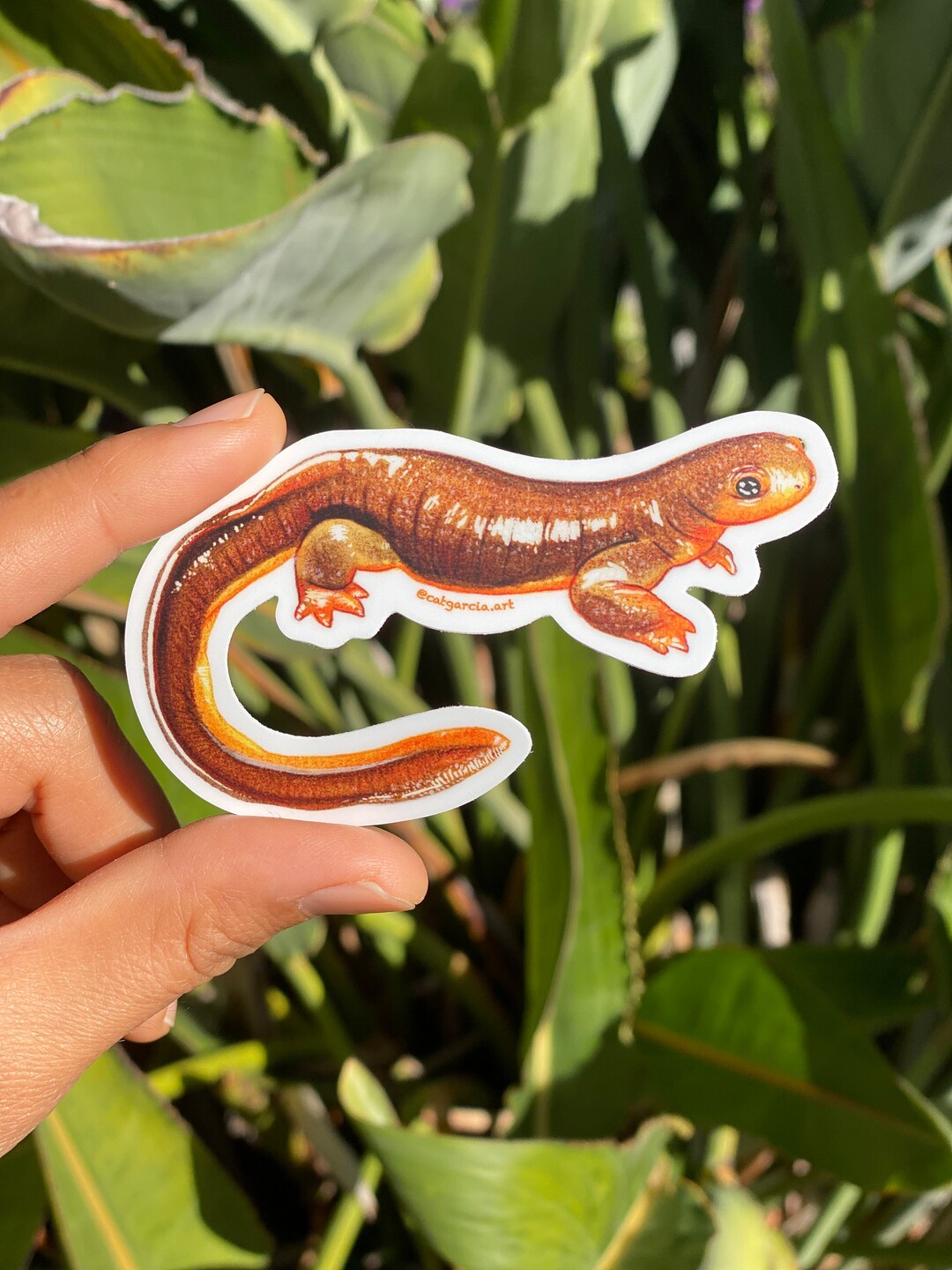 Adorable Newt Sticker - Cute Amphibian Sticker for Nature Lovers, Avid ...