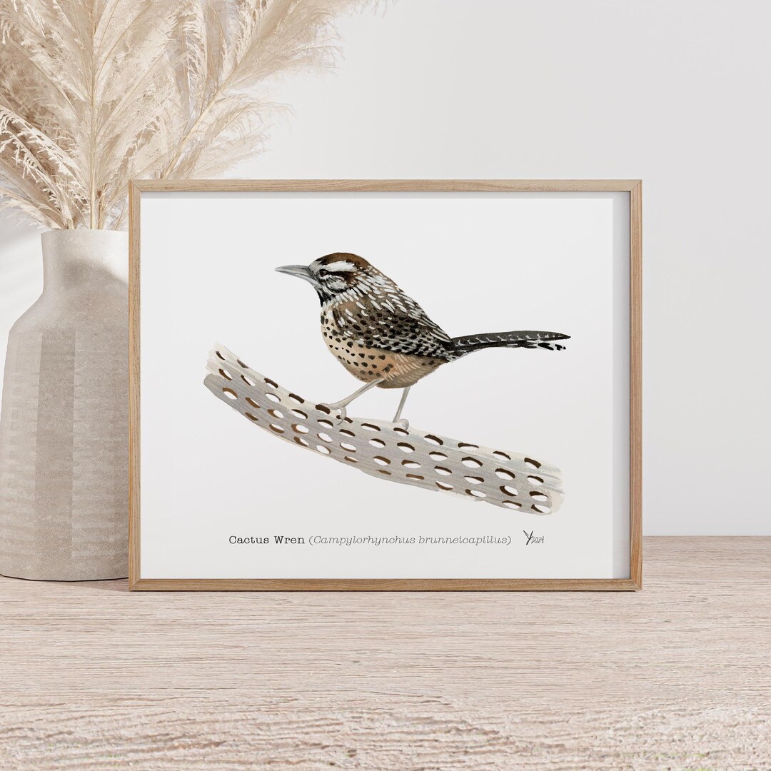 Cactus Wren Art Print - Gift for Desert Bird Watching Enthusiasts ...