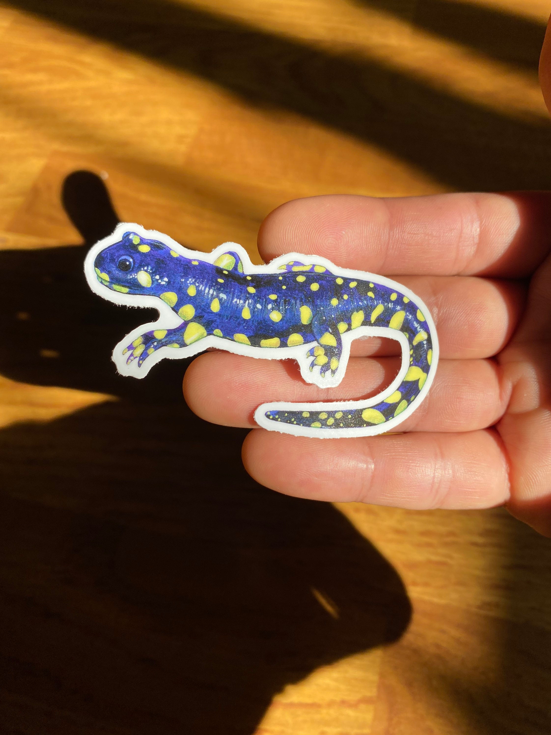 Cute Tiger Salamander Sticker - Watercolor Amphibian Decal - Etsy