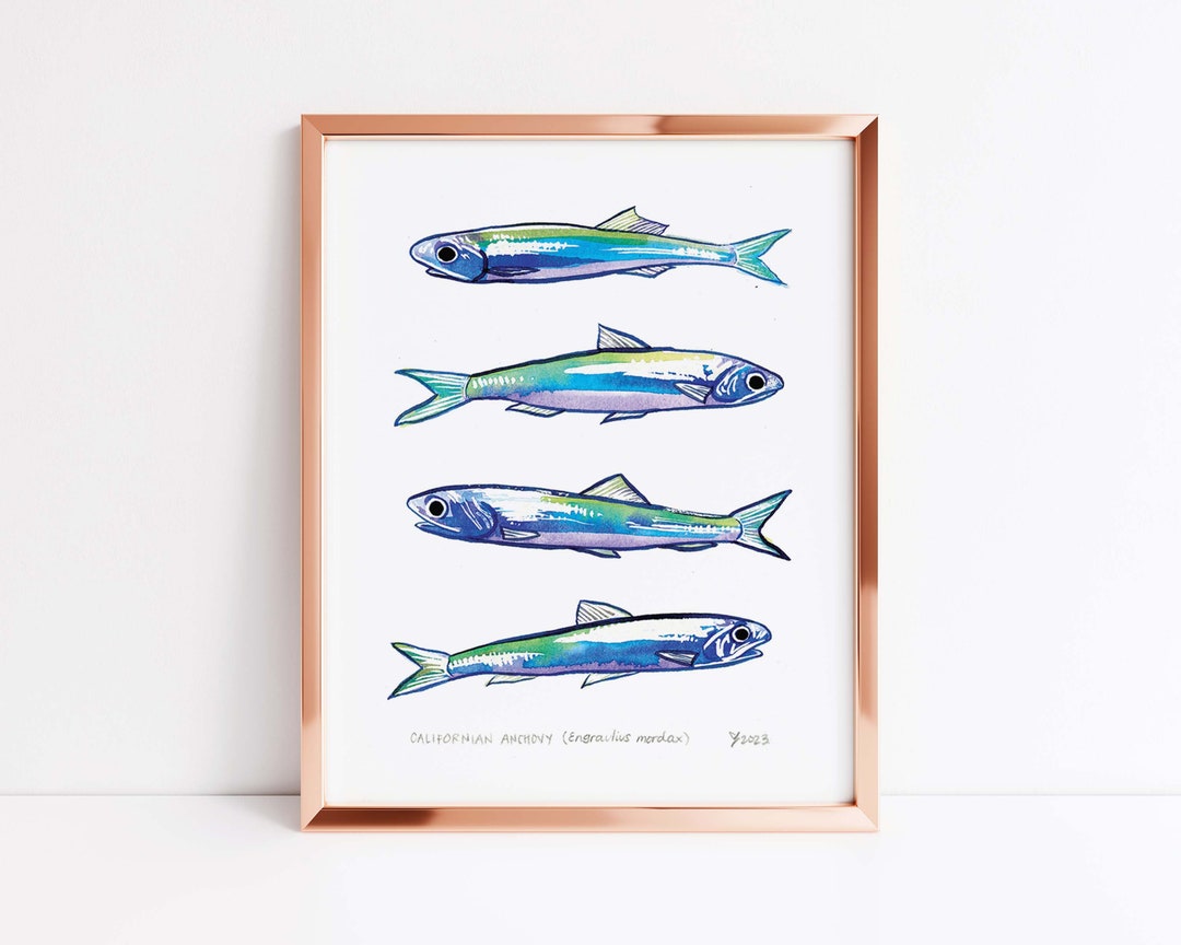 Anchovy Print for Kitchen - Modern Fish Decor Perfect for Gallery Wall ...