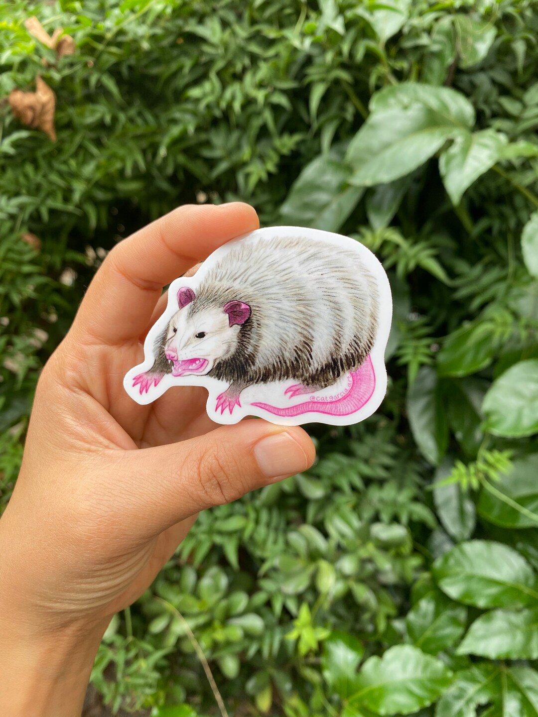 Hissing Opossum Vinyl Sticker - Funny Possum Decal - Opposum Lover Art ...