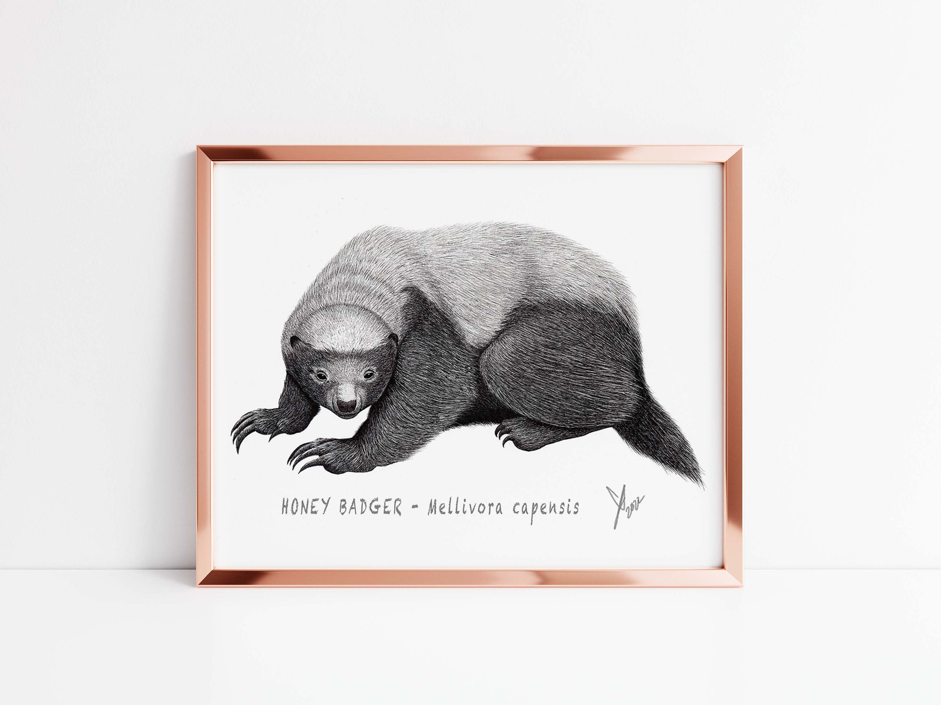 Honey Badger Painting
