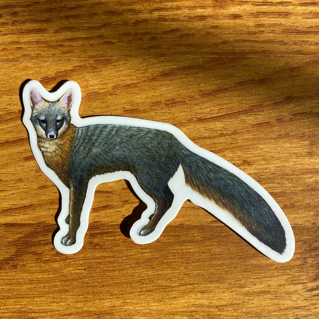 Gray Fox Sticker - Perfect Decal for Nature Enthusiasts & Fox Lovers - Etsy