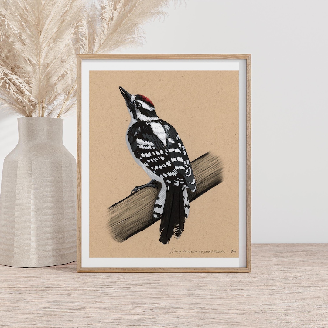 Woodpecker Art Print - Downy Woodpecker Painting, Bird Watcher Gift ...