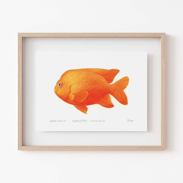 Garibaldi Fish - Etsy