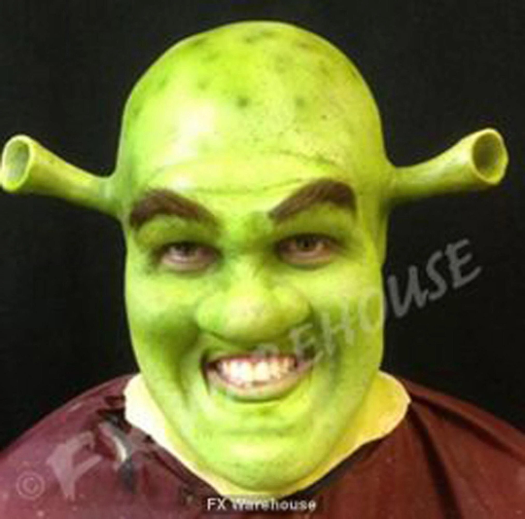 Ogre Shrek Foam Latex Prosthetic Mask Unpainted Theatre the - Etsy