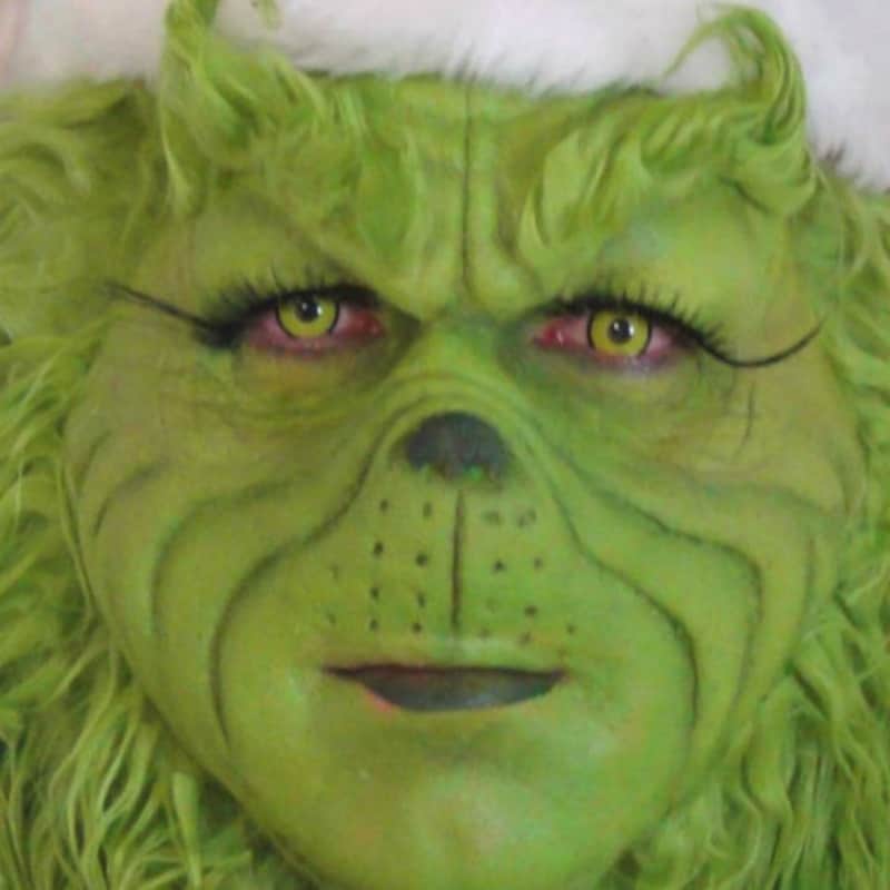 The Grinch Face Mask - Etsy