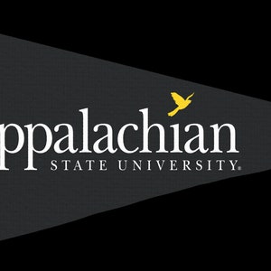 Appalachian State Pennant Flag - App State University Apparel and ...