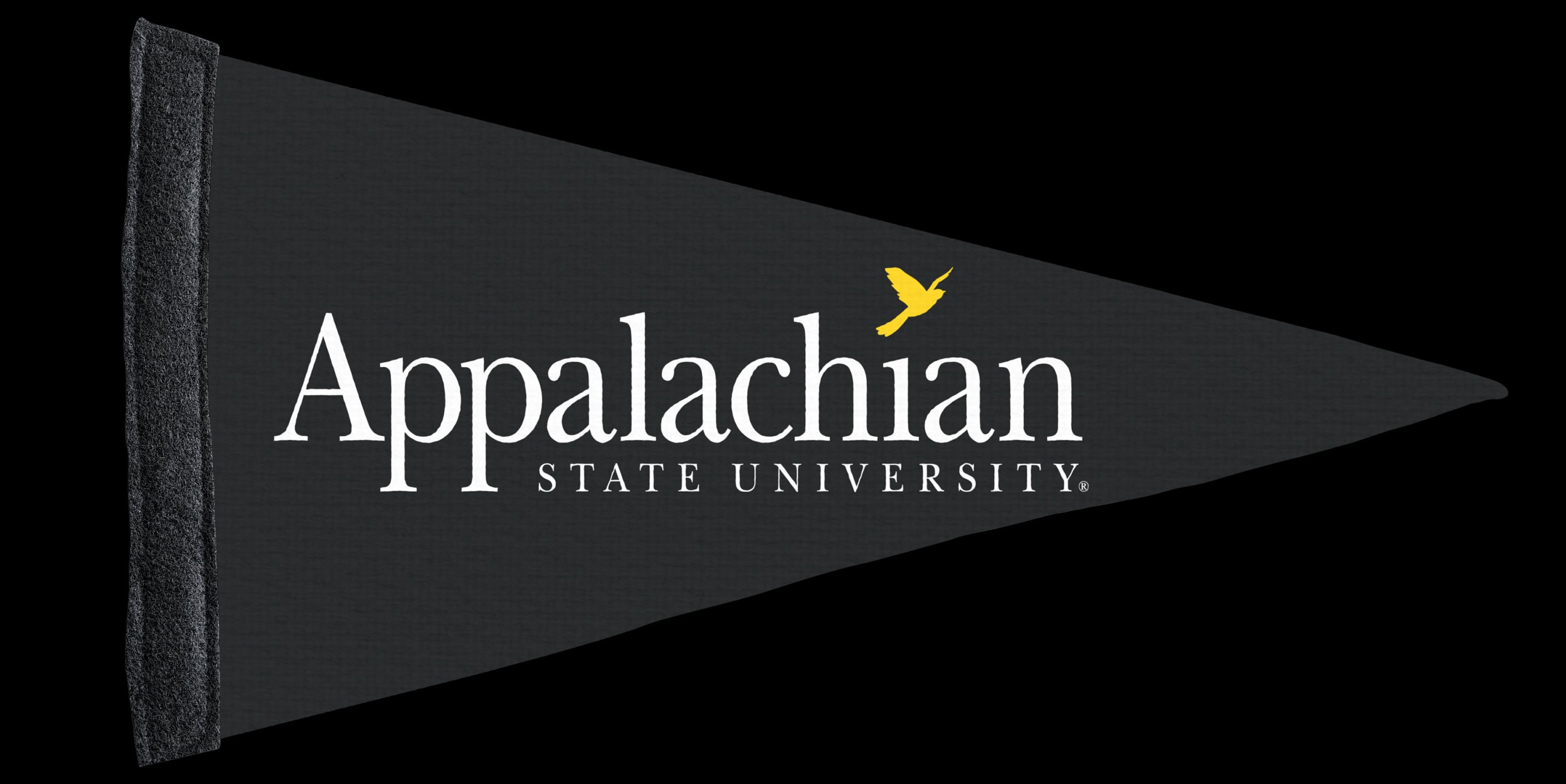 Appalachian State Pennant Flag App State University Apparel - Etsy