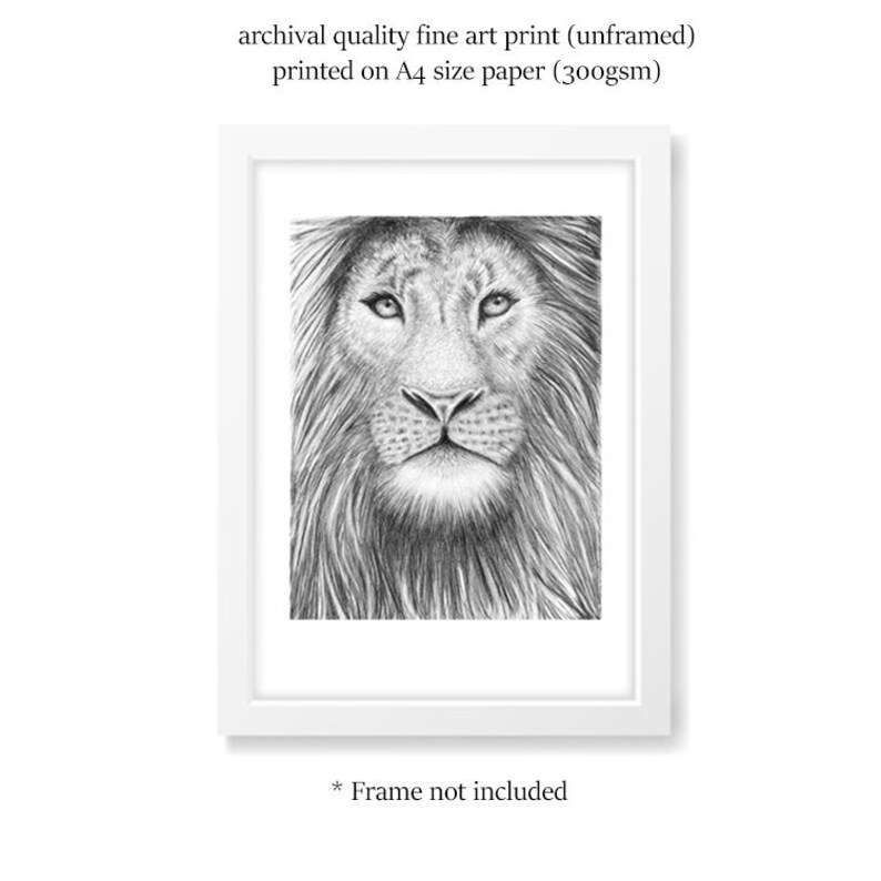 A4 Size Lion Print, Graphite Pencil Drawing, Archival Quality Giclee ...