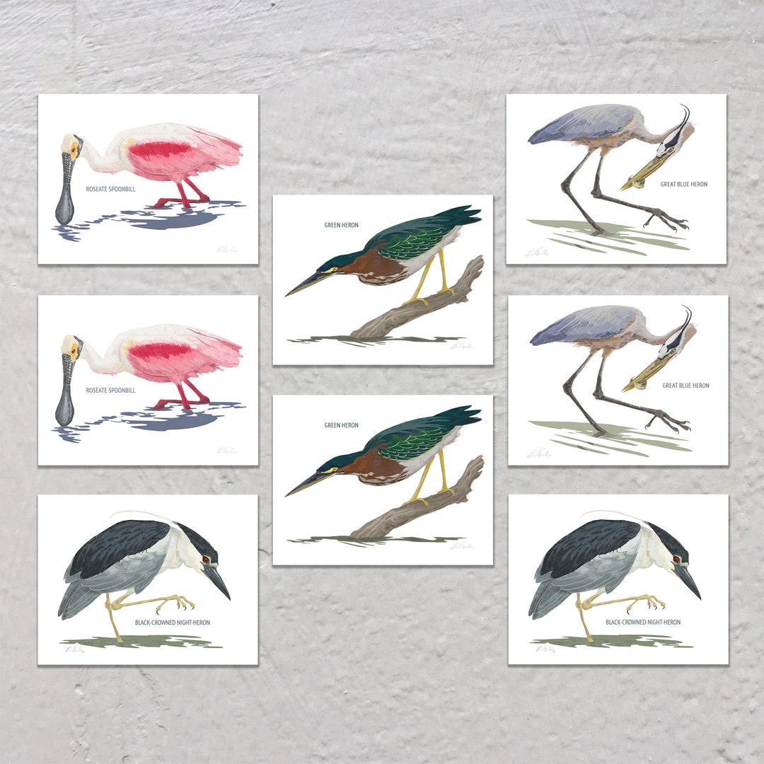 Blank Note Card Set, Wading Birds - Etsy