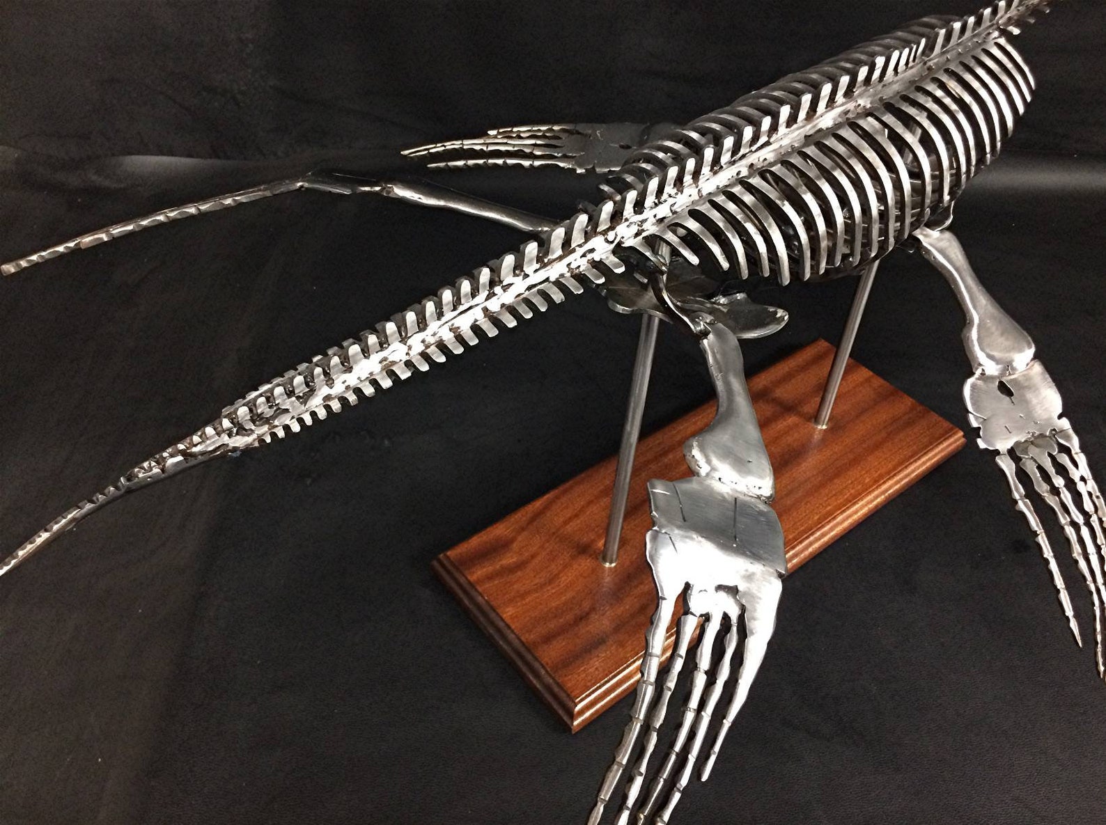 Handmade Welded Plesiosaurus Skeleton (lock Ness Monster) - Etsy