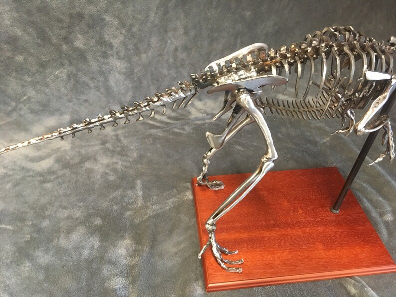 Handmade Welded Velociraptor Skeleton Sculpture - Etsy