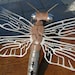Handmade Welded Dragonfly Sculpture - Etsy