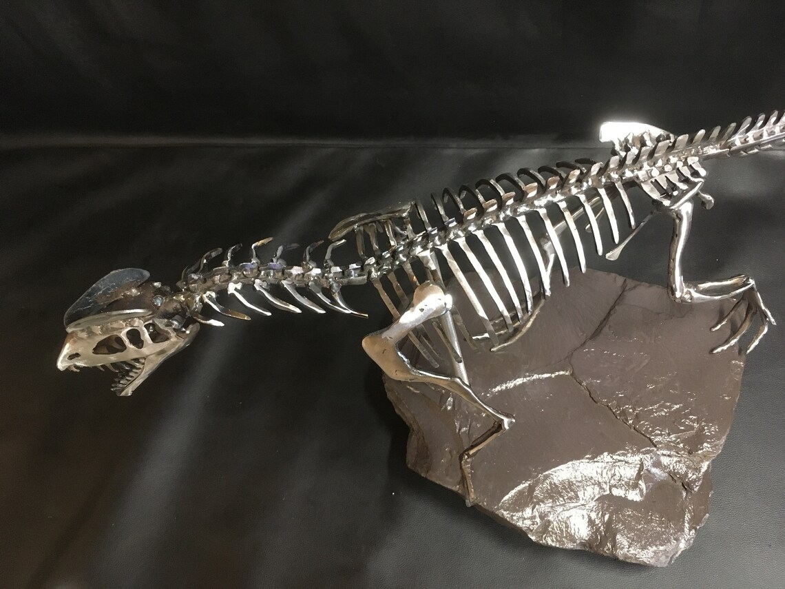 Handmade Welded Dilophosaurus Dinosaur Skeleton Sculpture - Etsy