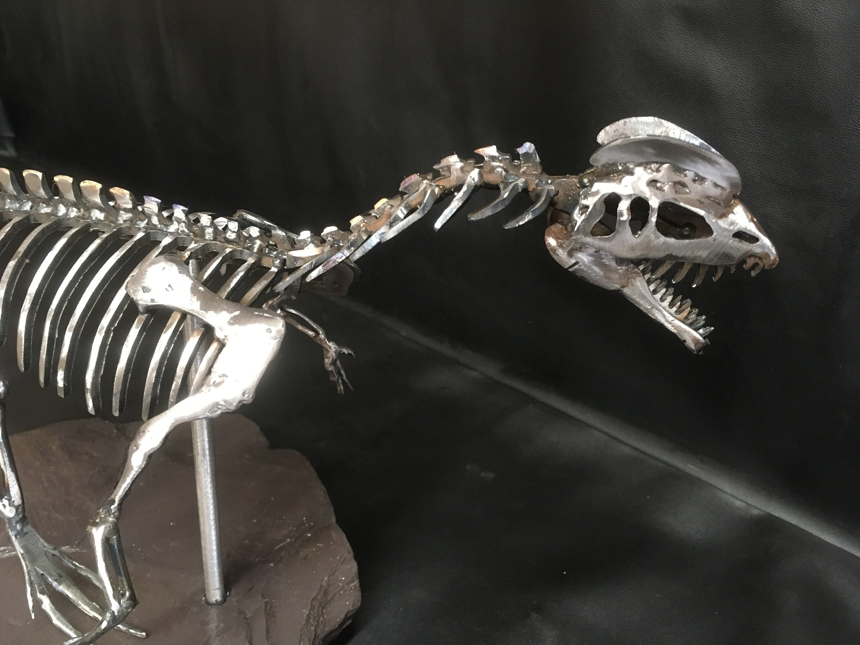 Handmade Welded Dilophosaurus Dinosaur Skeleton Sculpture - Etsy