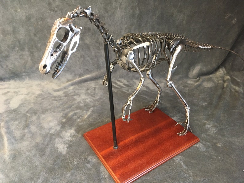Handmade Welded Velociraptor Skeleton Sculpture - Etsy