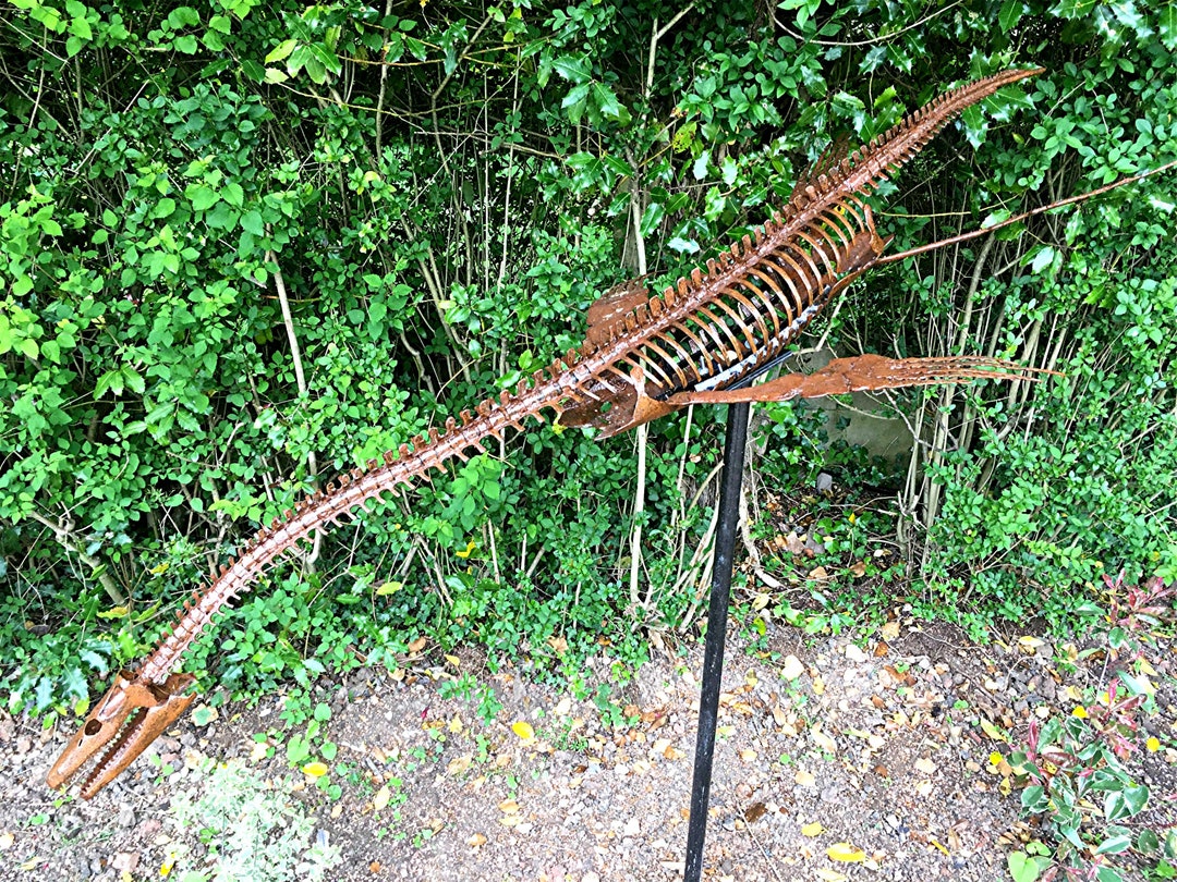 Plesiosaurus Skeleton 2m Steel Sculpture - Etsy