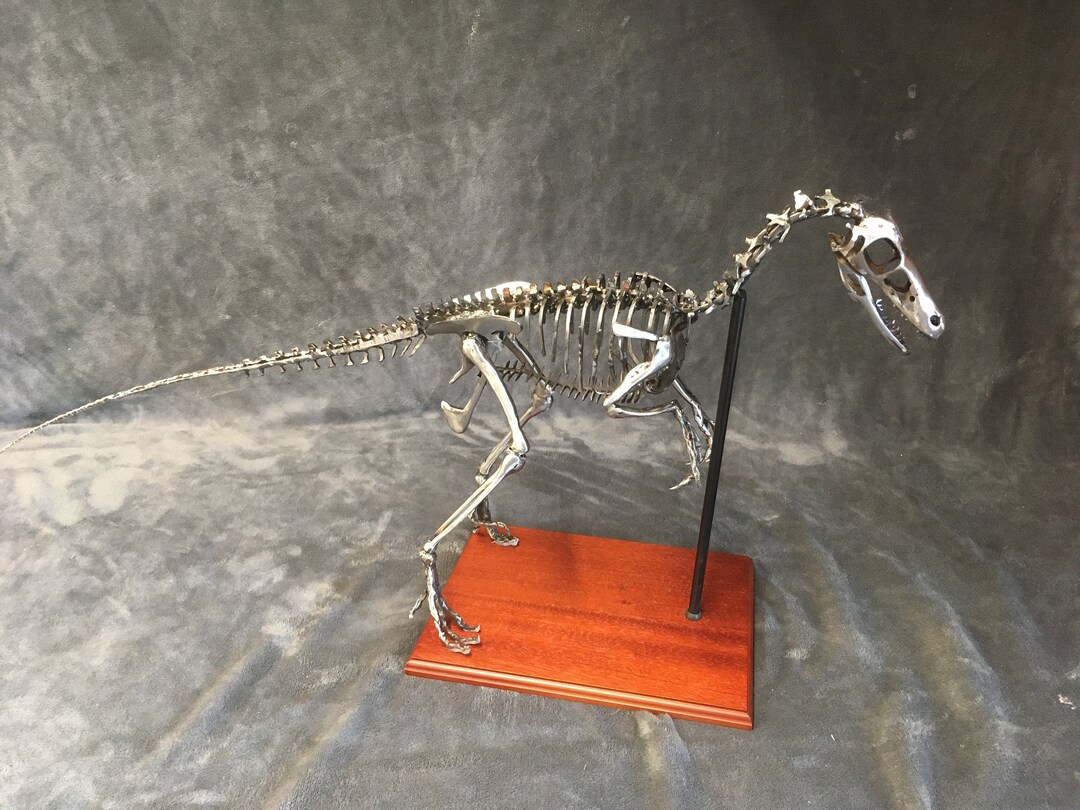 Handmade Welded Velociraptor Skeleton Sculpture - Etsy