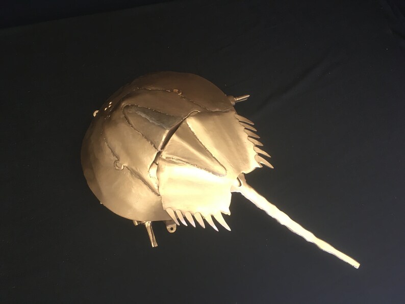 Horseshoe Crab Handmade Metal Sculpture - Etsy