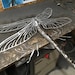 Handmade Welded Dragonfly Sculpture - Etsy