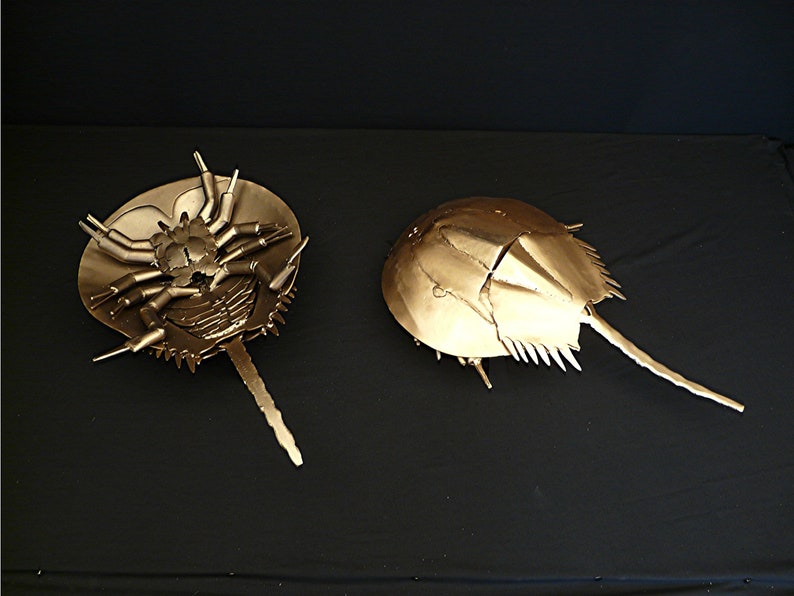 Horseshoe Crab Handmade Metal Sculpture - Etsy
