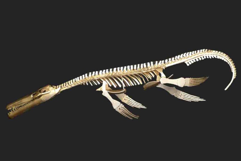 Kronoaurus Queenslandicus Skeleton Sculpture - Etsy