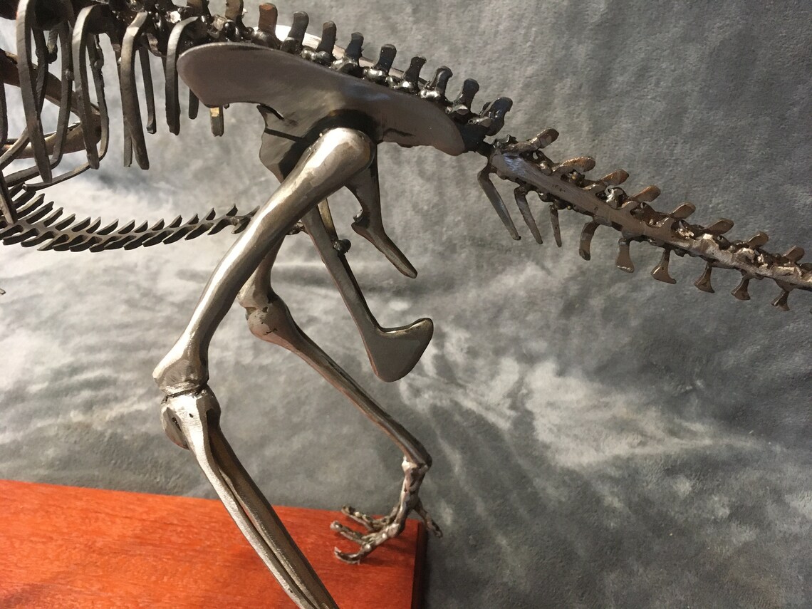 Handmade Welded Velociraptor Skeleton Sculpture - Etsy