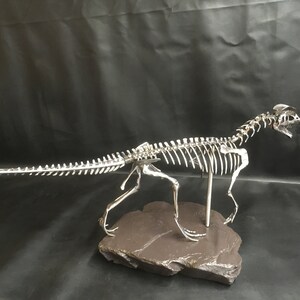 Handmade Welded Dilophosaurus Dinosaur Skeleton Sculpture - Etsy