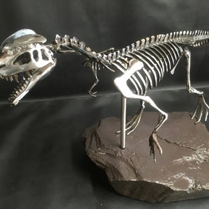 Handmade Welded Dilophosaurus Dinosaur Skeleton Sculpture - Etsy