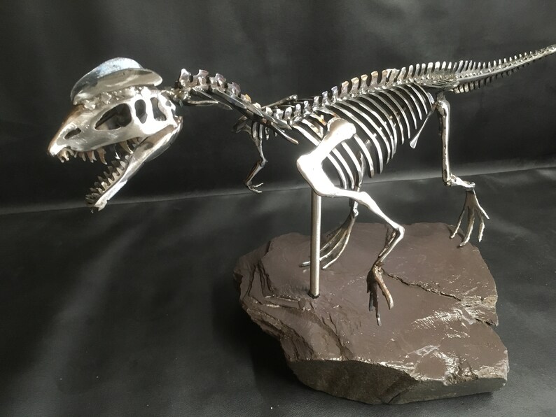 Handmade Welded Dilophosaurus Dinosaur Skeleton Sculpture - Etsy